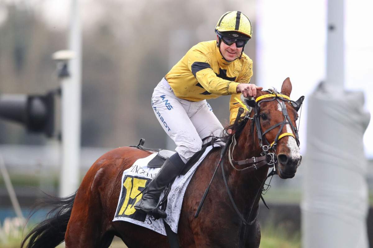 Arrivée PMU Prix de Vincennes (Gr. I), dimanche à Vincennes. LEXIE DE ...