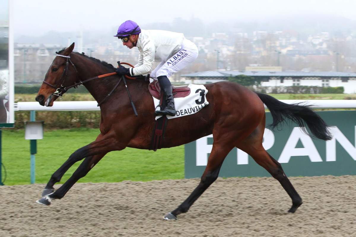 Pronostic quinté+ Prix du Château de Saint-Cloud, mardi, au Val d'Or ...