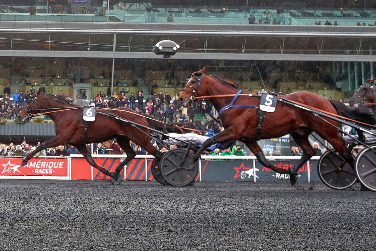 Prix d'Amérique 2025. J-1. IDAO DE TILLARD en quête de doublé