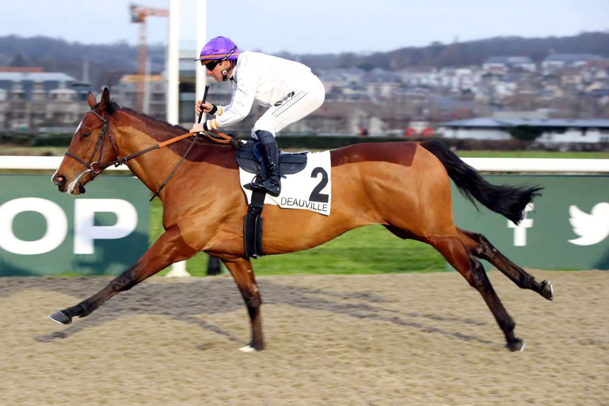 Pronostic Quinté PMU du PRIX DE LA ROUTE DES PRINCES du 28 oct. 2025