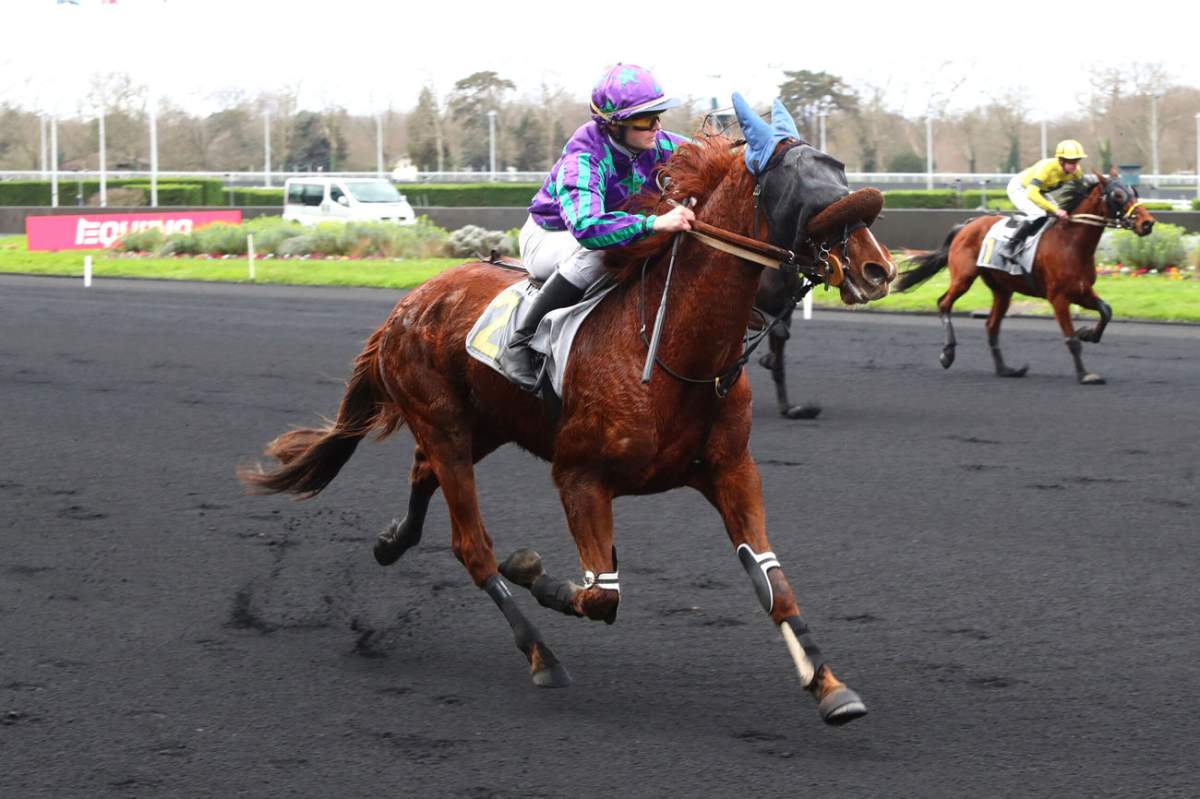 KIKI DU ROC - La fiche CANALTURF du cheval, performances pmu, pédigré ...