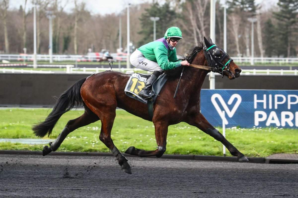 KALIMERO JASMA - La fiche CANALTURF du cheval, performances pmu ...