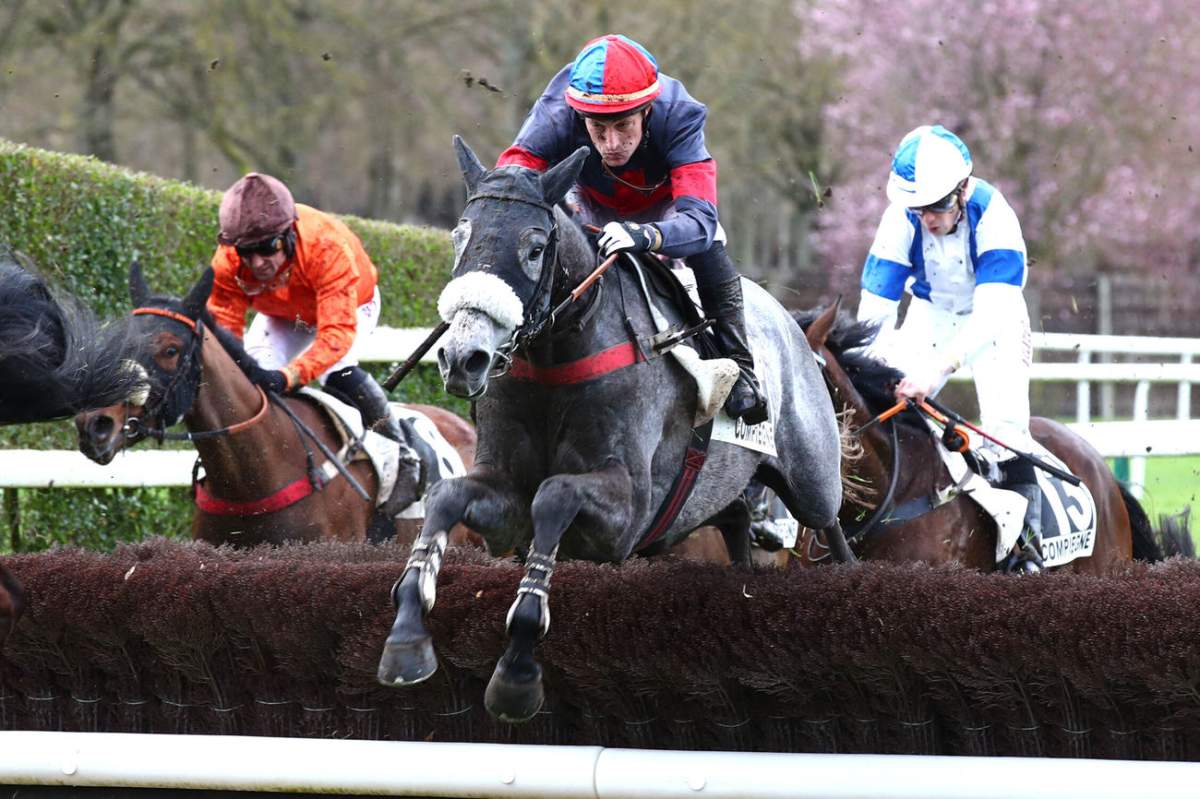 WILLY DE HOUELLE - La fiche CANALTURF du cheval, performances pmu ...