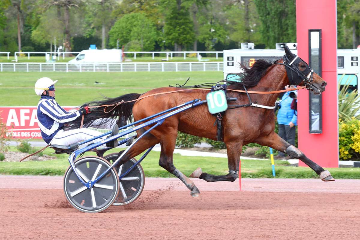 Arrivée PMU Pick5 Prix de l'Atlantique (Gr. I), samedi à Enghien. HORSY ...