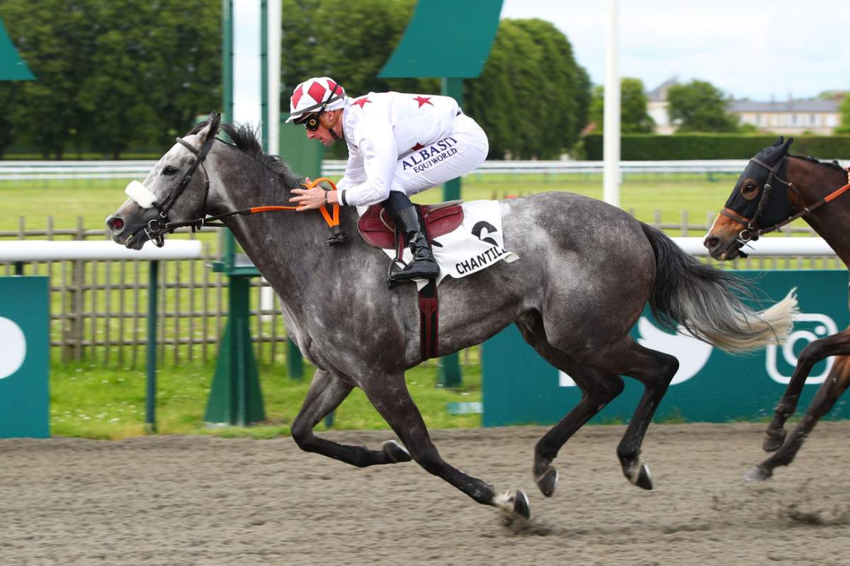 OISSEL - La fiche CANALTURF du cheval, performances pmu, pédigré ...