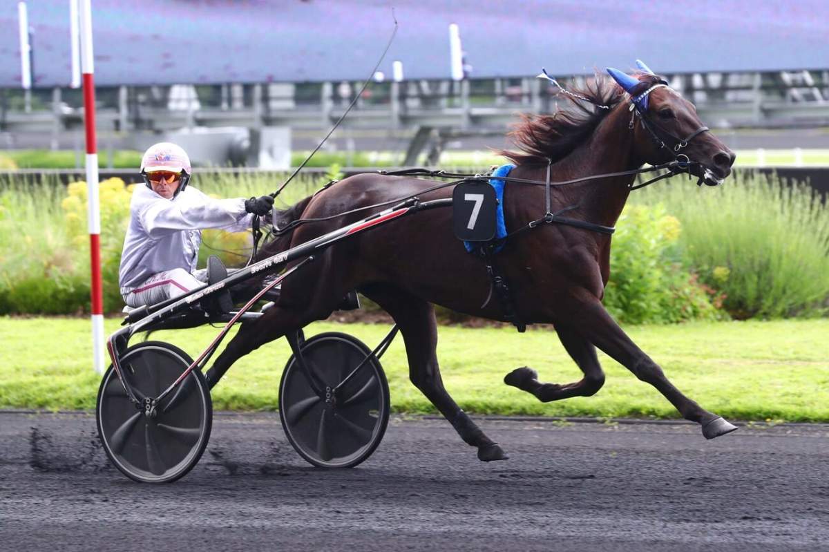 Pronostic gratuit Quinté+ Prix de la Côte d’Azur, jeudi, à Cagnes-sur ...