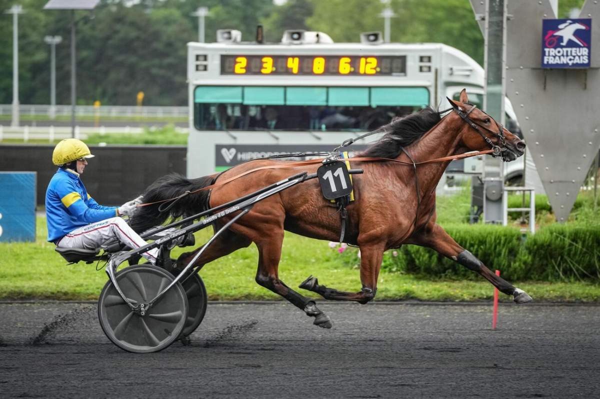 Pronostic gratuit du PRIX PAUL LEGUERNEY - CRITERIUM 4 ANS Q1 - 16 août ...