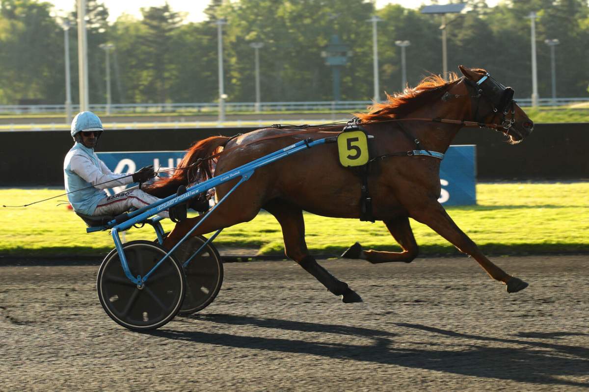 Arrivée du quinté+ Prix Titania, vendredi, à Vincennes. HAMILTOM DU HAM ...