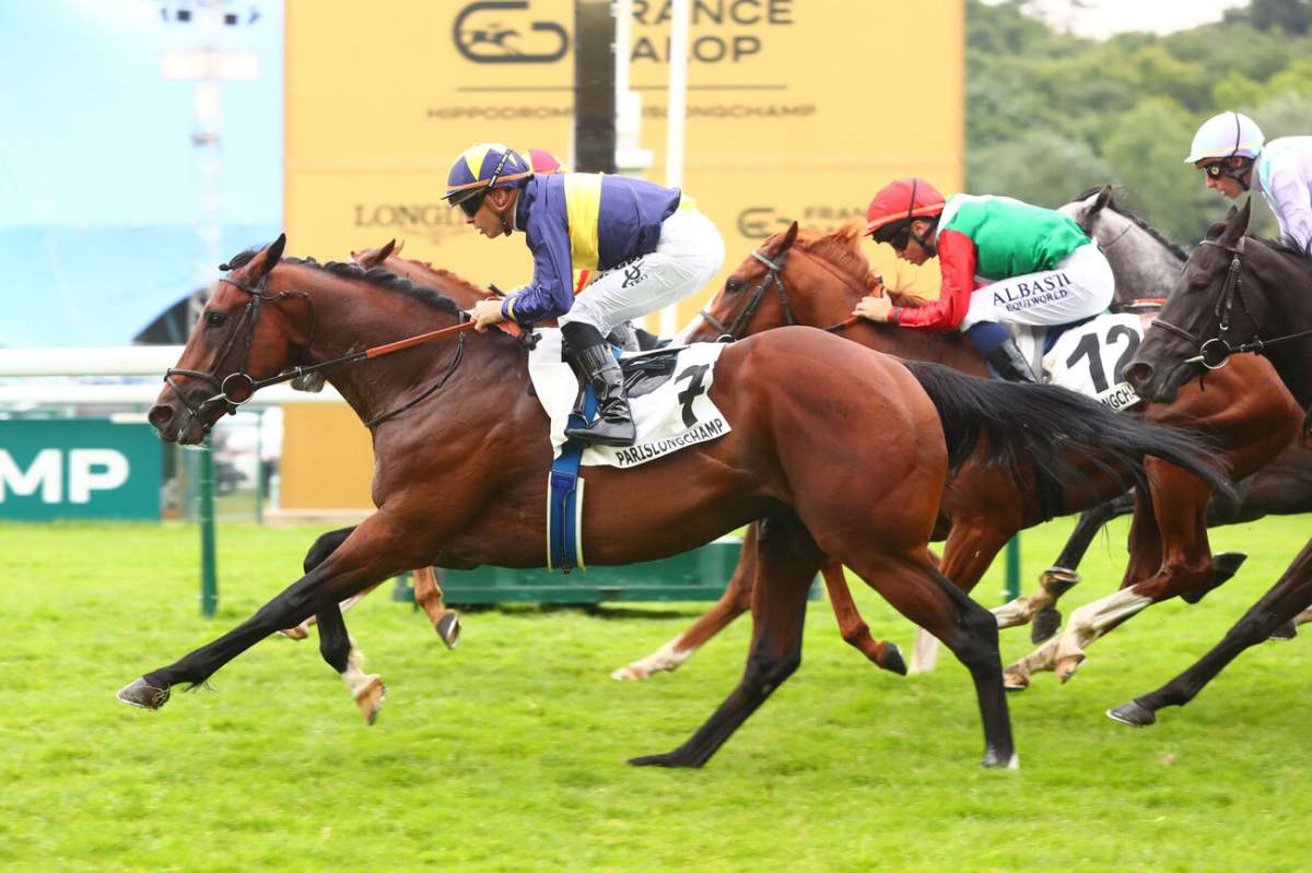 Pronostic Quinté PMU du PRIX RACE AND CARE du 20 juin 2026