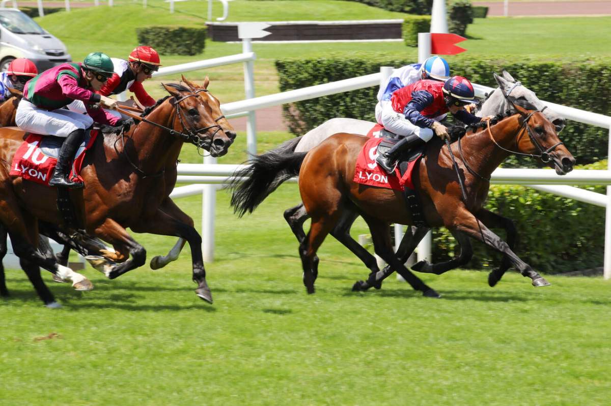 Arrivée du quinté Prix Fédération des Courses du Centre-Est, lundi à ...