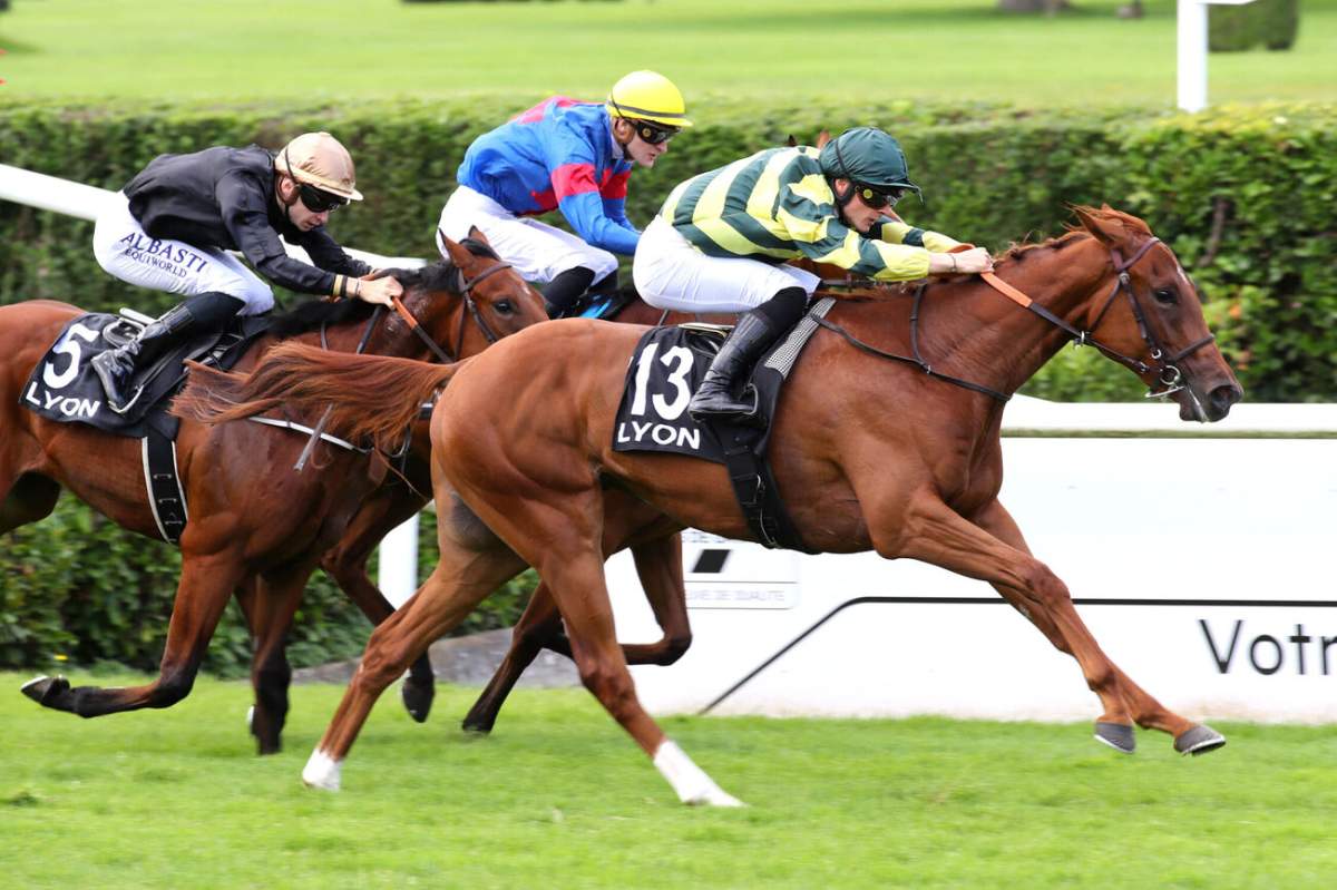 LADY VITESSE - La fiche CANALTURF du cheval, performances pmu, pédigré ...