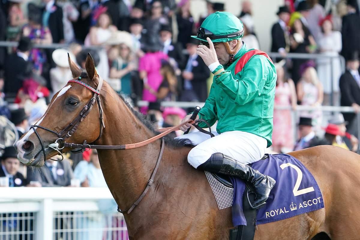 Les actualités hippiques et PMU : articles presse turf - CANAL TURF