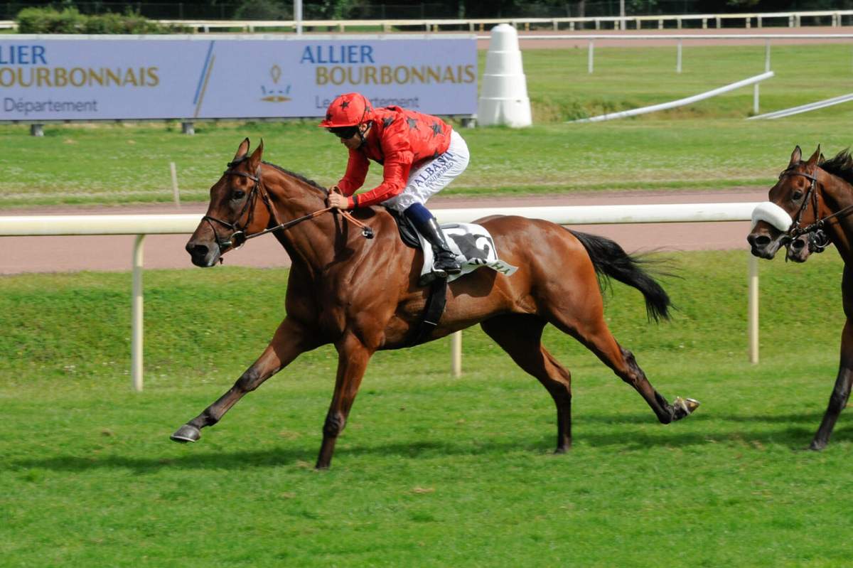 Pronostic gratuit du PRIX DE L'ATHENEE - 11 juin 2026 par Canalturf