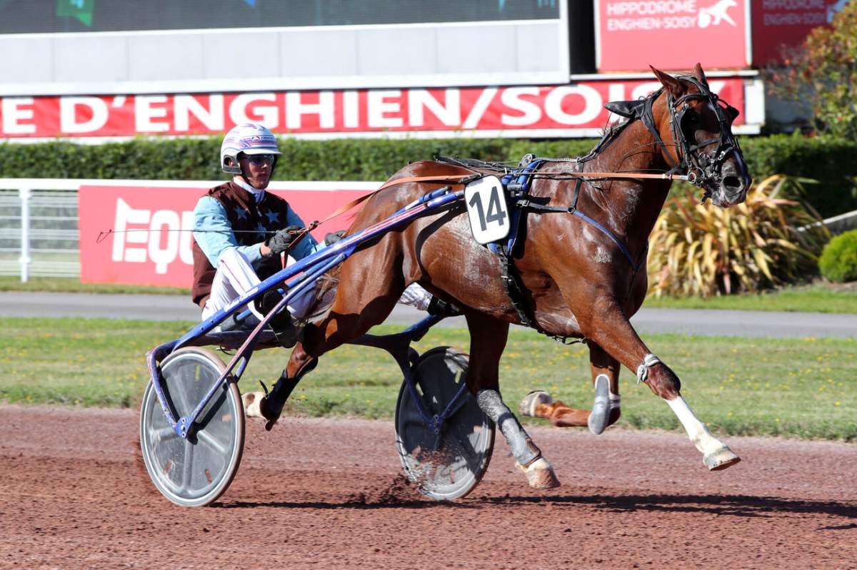 KATCHI QUICK - La fiche CANALTURF du cheval, performances pmu, pédigré ...