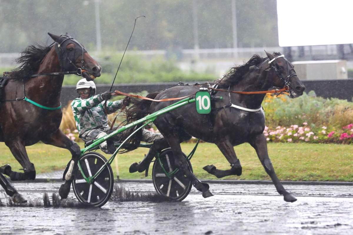 Arrivée PMU Pick5 Prix Louis Jariel - Critérium 5 ans Q1 (Gr. II ...