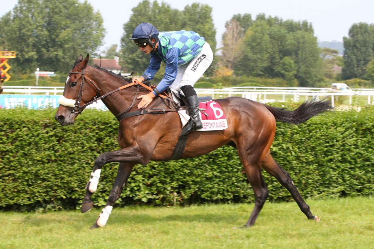 Pronostic gratuit du PRIX JEAN BERNET - 20 janv. 2026 par Canalturf