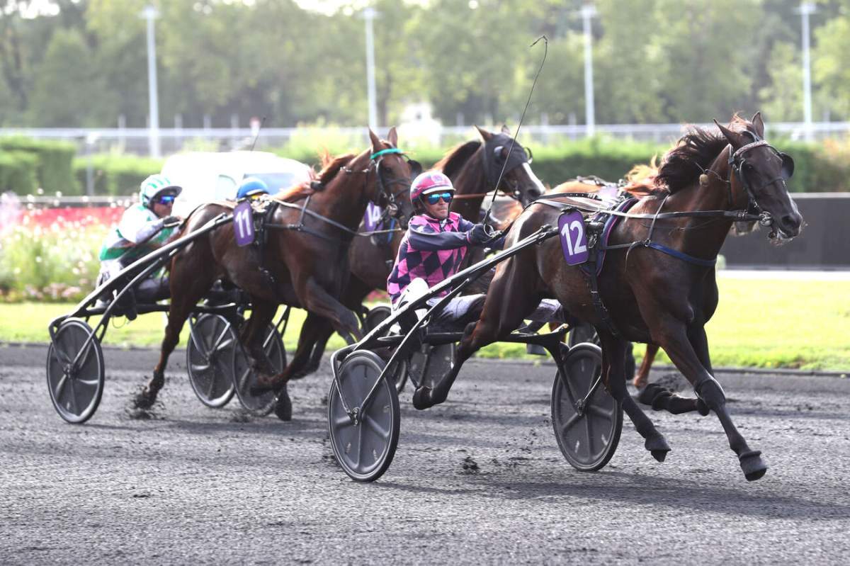 Pronostic Quinté PMU du PRIX DANIEL MIETTE du 23 nov. 2024