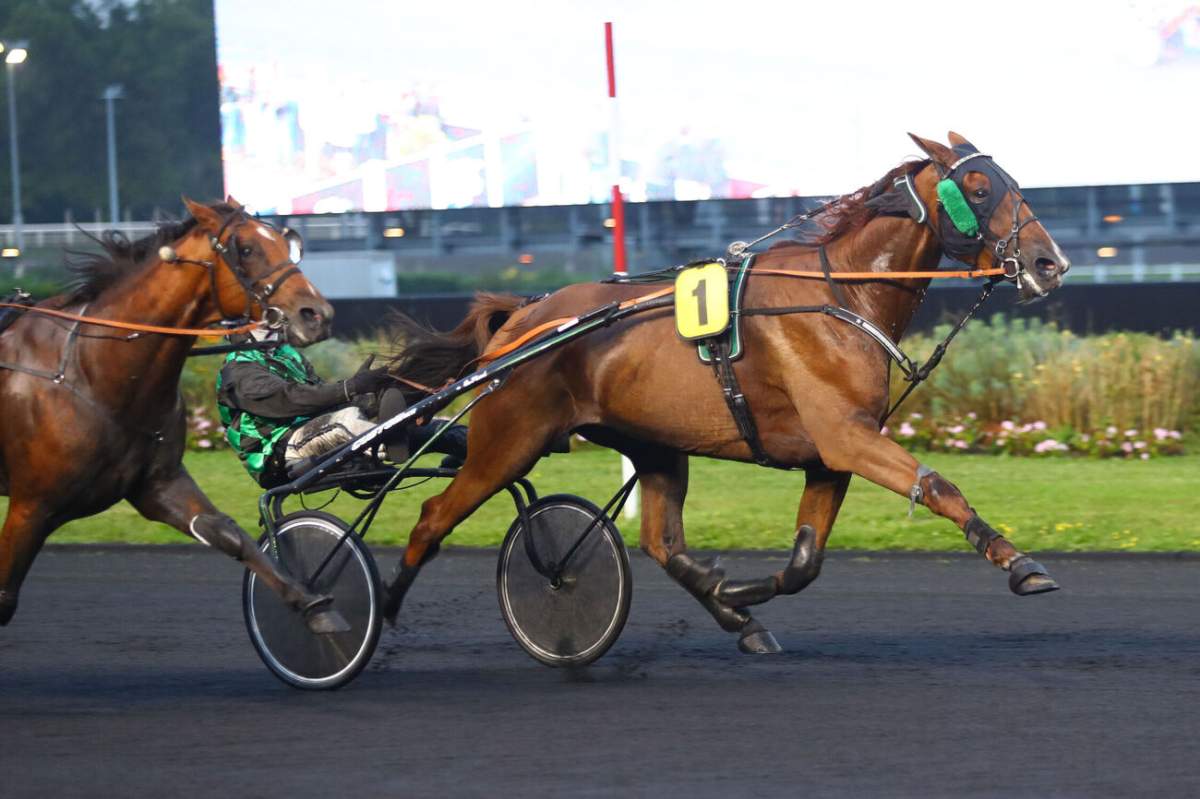 Quinté+ Vendredi, à Vincennes (R-1). Alexandre Plard : Une place est ...
