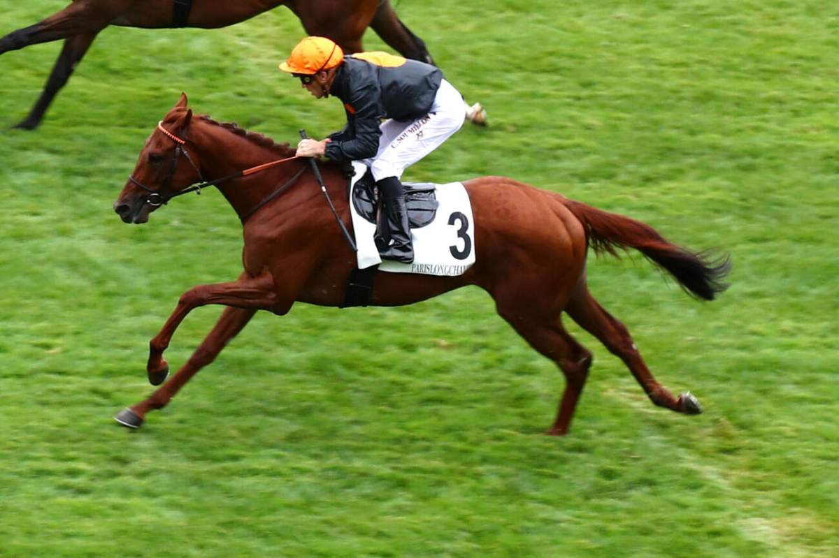 Pronostic Quinté+ PMU Prix de Bayeux, samedi 9 août à Deauville. LORD ...