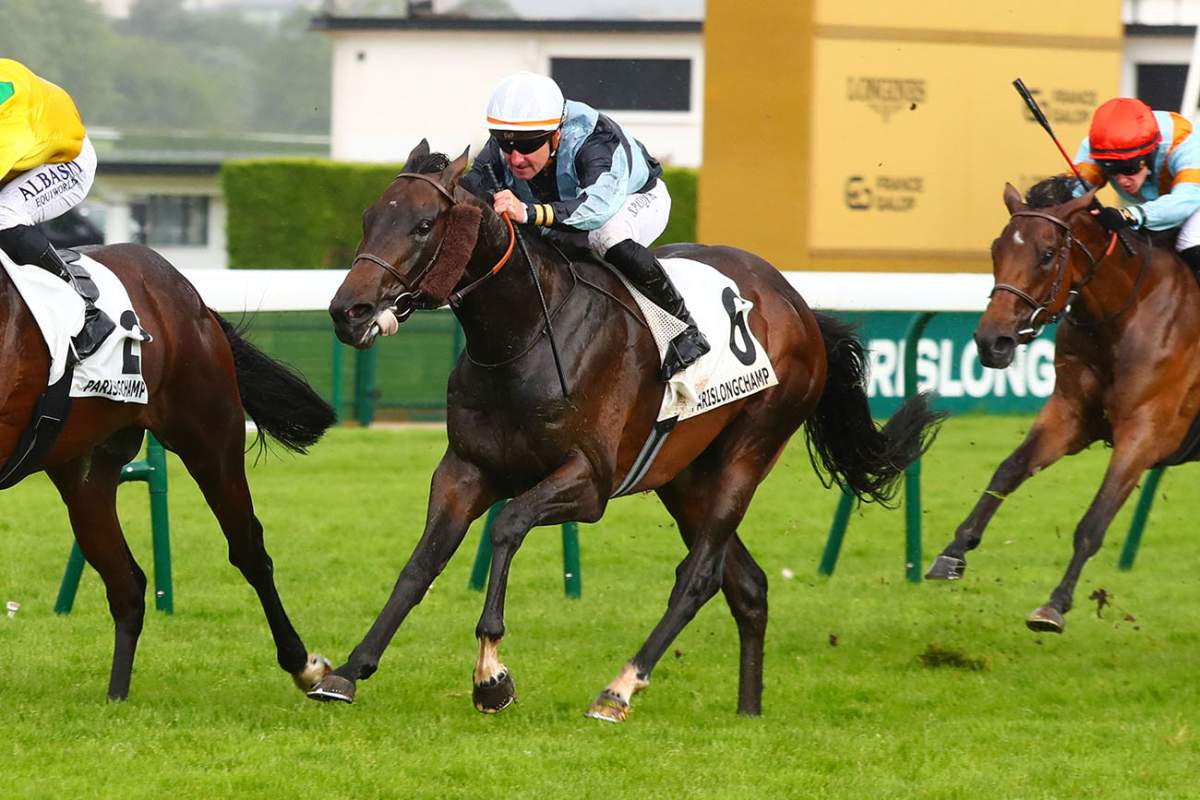 HUMAN EVOLUTION - La fiche CANALTURF du cheval, performances pmu ...