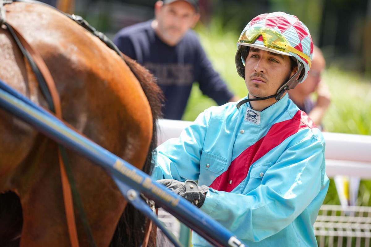 Interview Quinté+ Mardi à Vincennes (R-1). Nicolas-Richard Brossard : C ...
