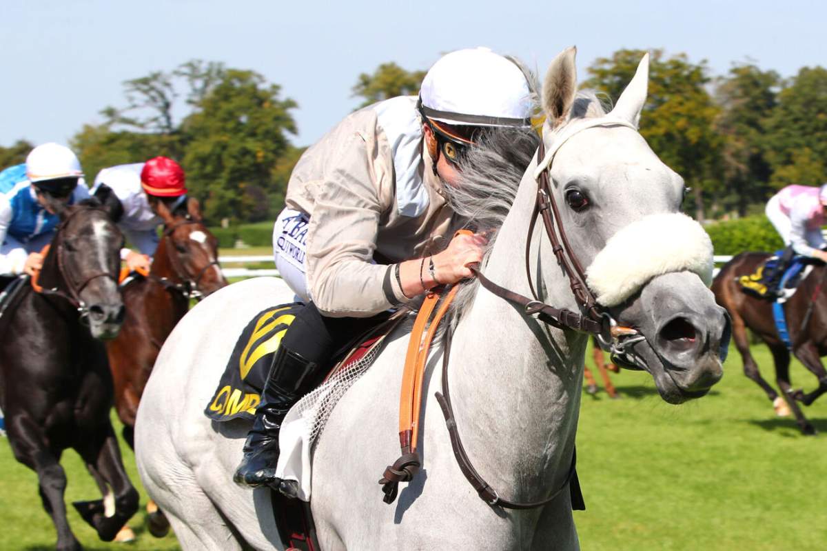 Arrivée du Quinté+ Prix de la Vallée de l'Oise, mardi, à Compiègne ...