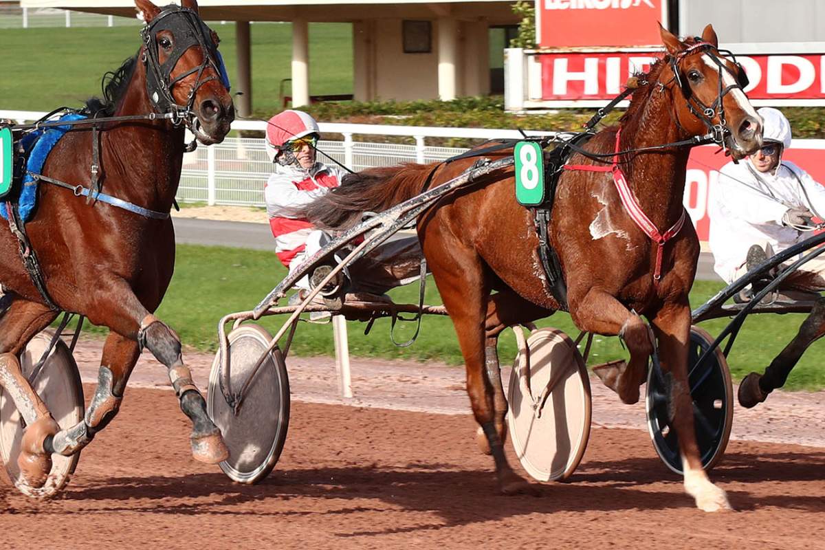 Interview pmu, lundi 03/03/2025 au Croisé-Laroche (R-5, C2). Benoît ...