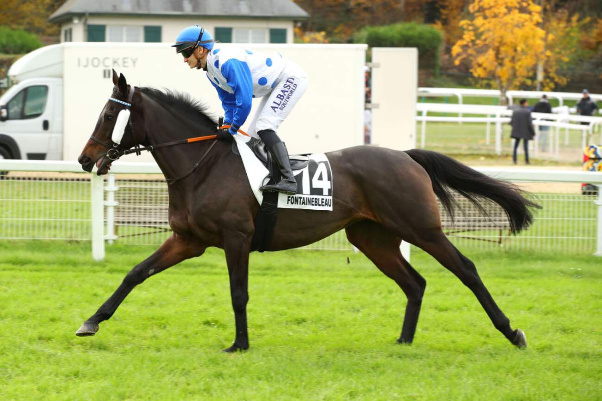 Pronostic gratuit du PRIX DES ATELIERS DJSL BOIS (PRIX ABRAHAM ...