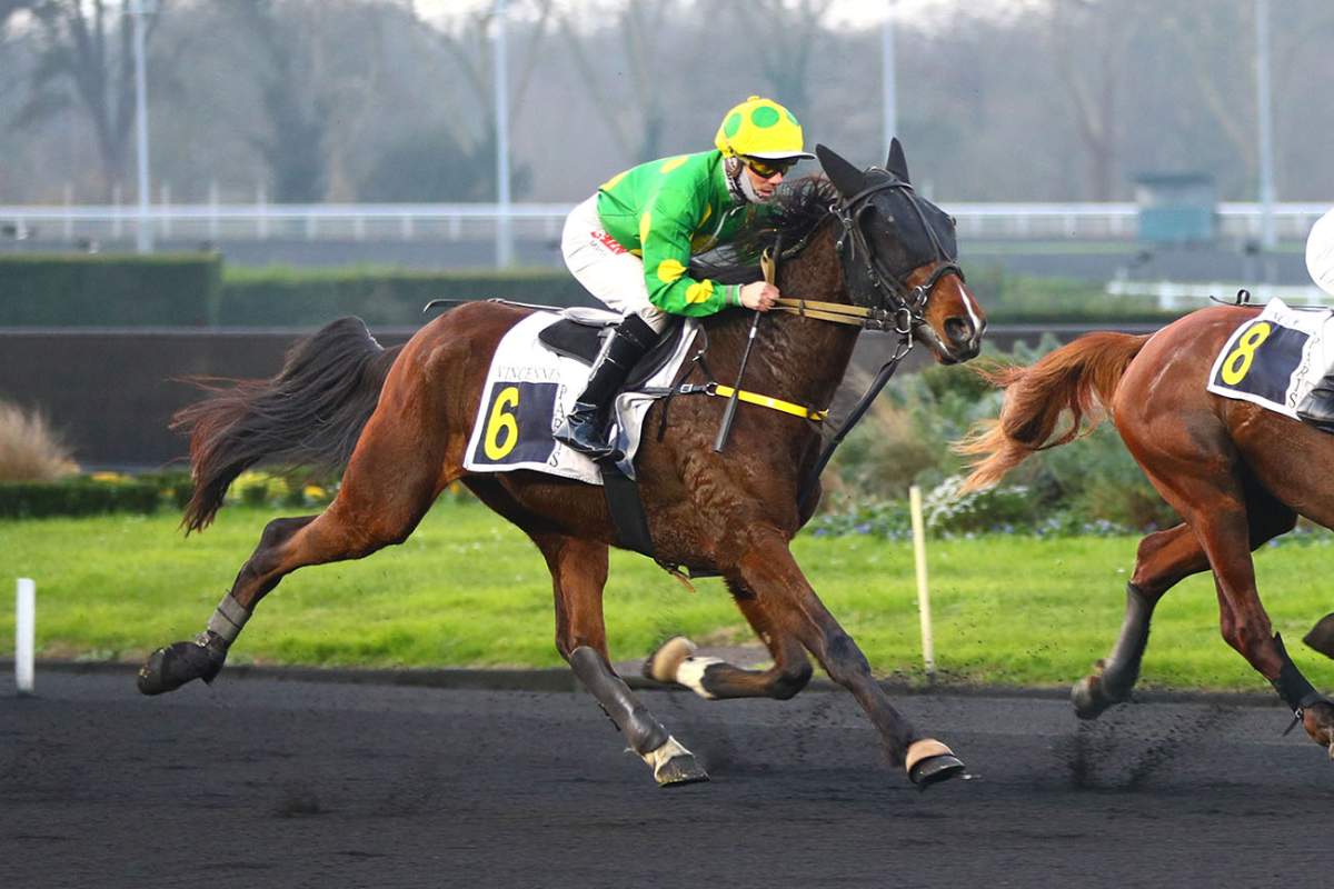 Interview pmu, jeudi, à Vincennes (R-1). Matthieu Helbert : LEMON KING ...