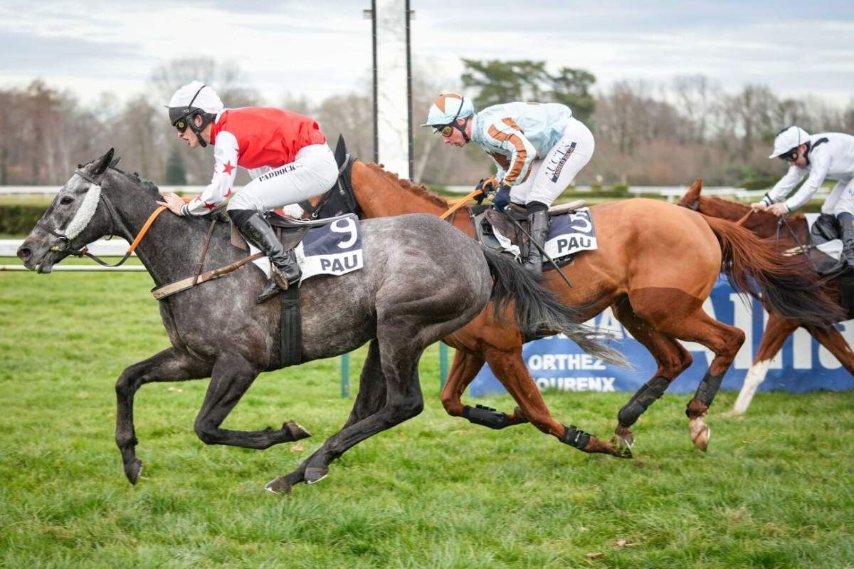 Pronostic Quinté PMU du PRIX SOAL RACING (PRIX RENE CRAMAIL) du 28 janv ...