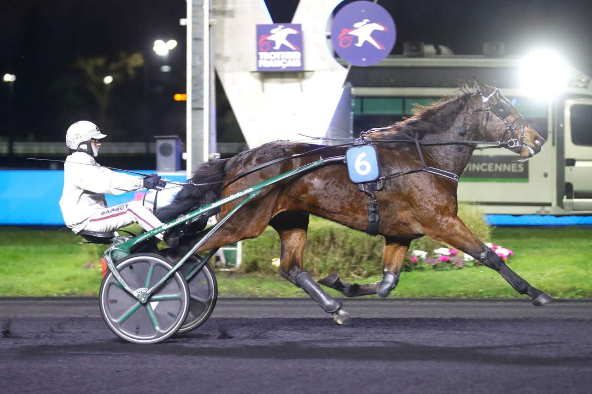 Pronostic gratuit quinté Prix Martha, vendredi 18 avril 2025 à ...
