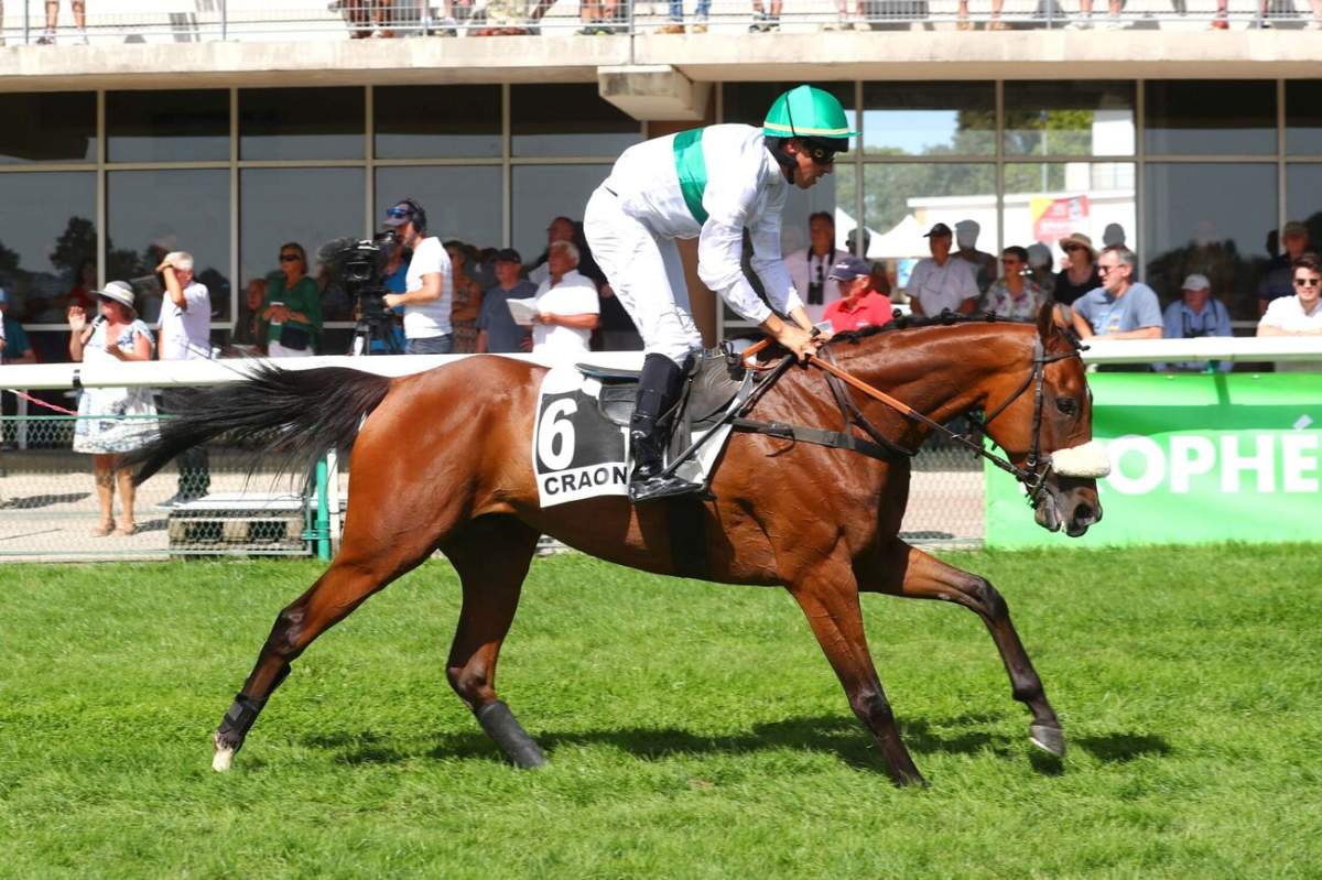 Pronostic gratuit du PRIX DE LA FONTAINE DESIREE - HANDICAP CHALLENGE ...