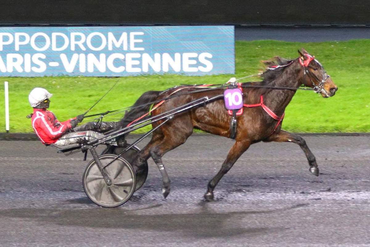 Interview pmu, vendredi 3/10 à Vincennes (R-1). Louis Lalande : JEFF DE ...