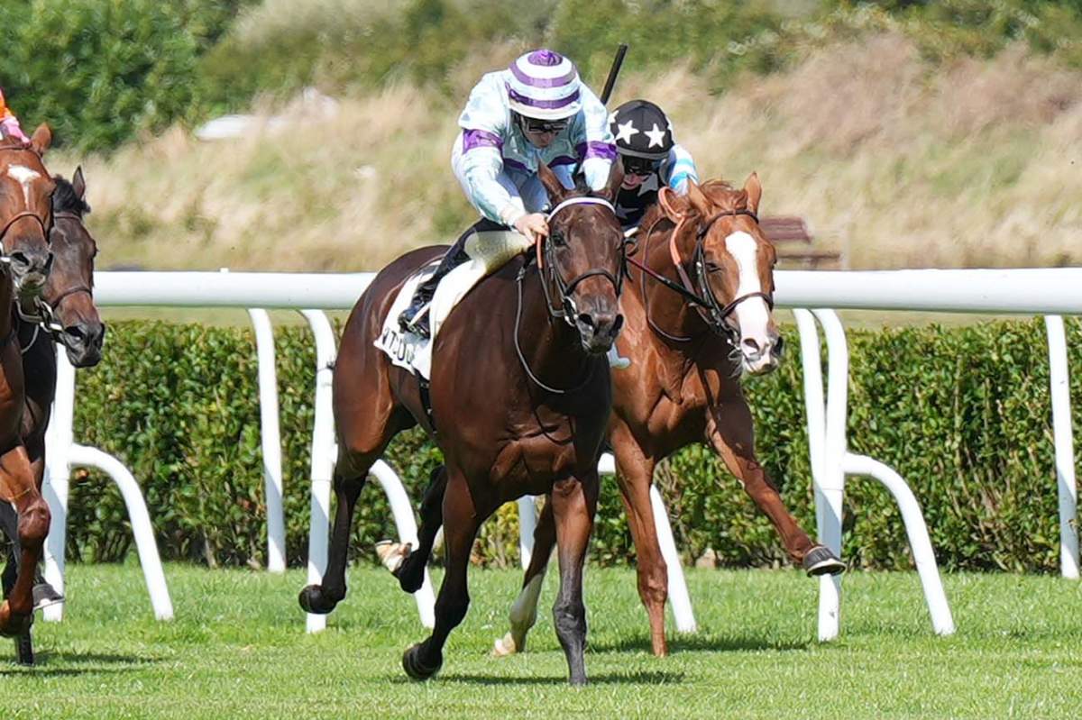 Pronostic Quinté+ PMU Prix de Marly, dimanche à ParisLongchamp ...