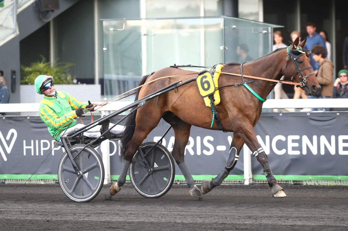 Interview pmu, vendredi, à Vincennes (R-1). Jacky Planchard : Je lui vois une bonne chance.