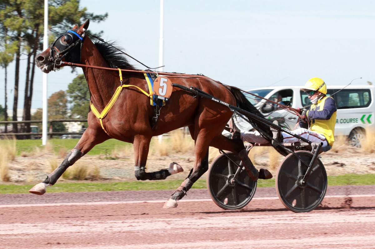 Pronostic gratuit du PRIX DE FORMENTIN - 11 oct. 2025 par Canalturf