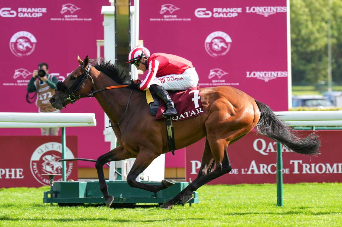 Résultat, jeudi, à ParisLongchamp. Domination Britannique dans le Prix ...