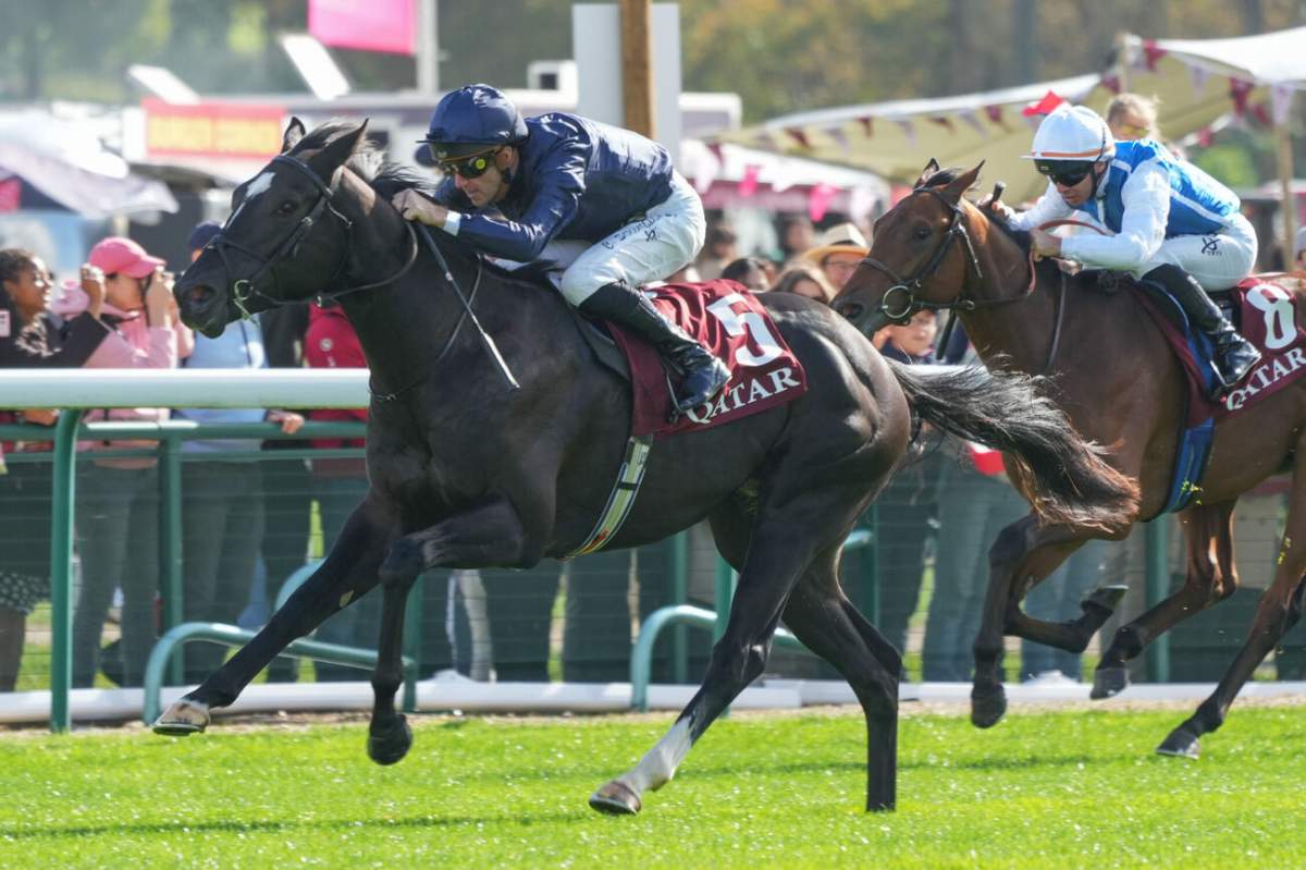 Arrivée PMU Qatar Prix Jean-Luc Lagardère (Gr. I), dimanche à ...