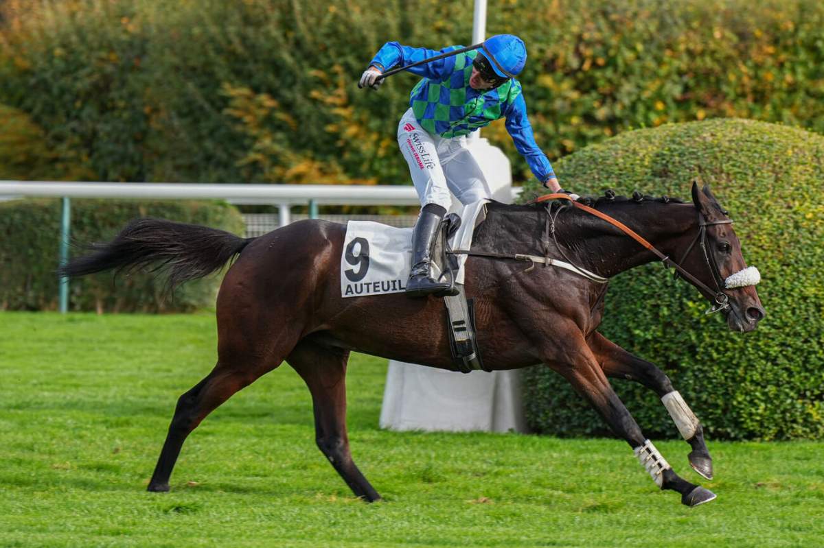 Résultat et rapports Quinté+ Pmu Le Défi des Haras - Grand Steeple ...