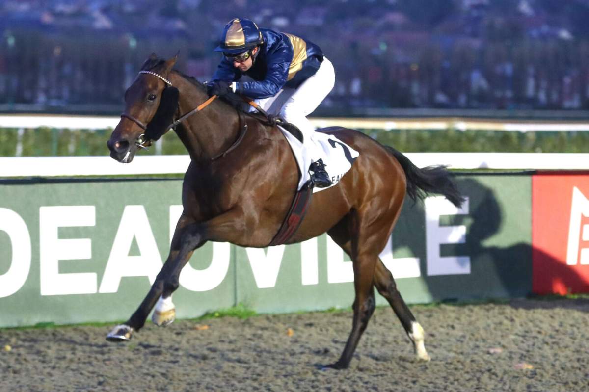 Pronostic gratuit du RMC GRAND HANDICAP DE CHANTILLY - 31 mai 2026 par ...