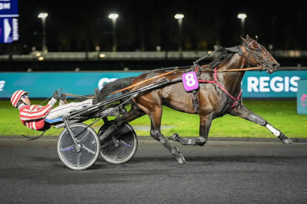 Prix Jules Thibault (Gr.II), samedi, à Vincennes. Avec des rentrants de ...