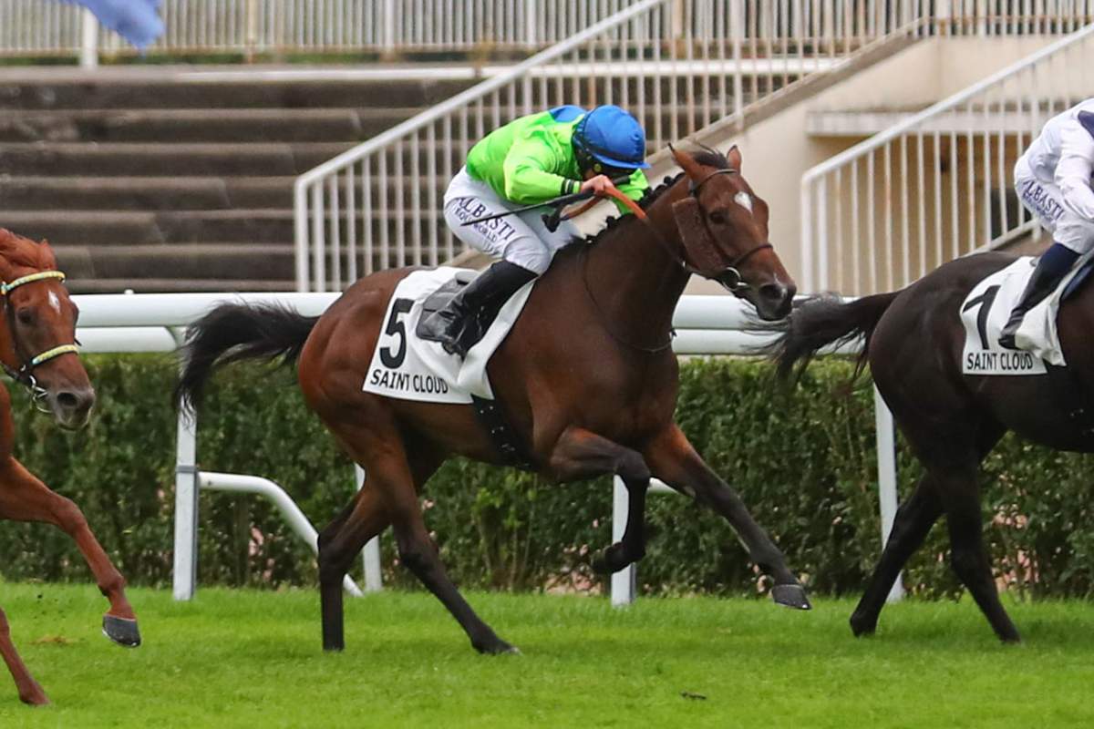 Pronostic gratuit du PRIX PALC (PRIX CYCLOS DE LA COTE D'AMOUR) - 28 ...