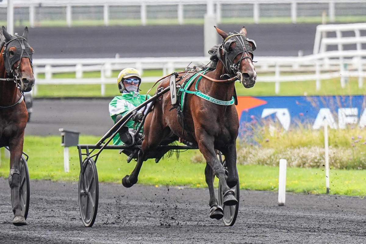 Vendredi, à Vincennes (R-1). Pavel Tamsin : Si LOIR ET CHER s'élance ...