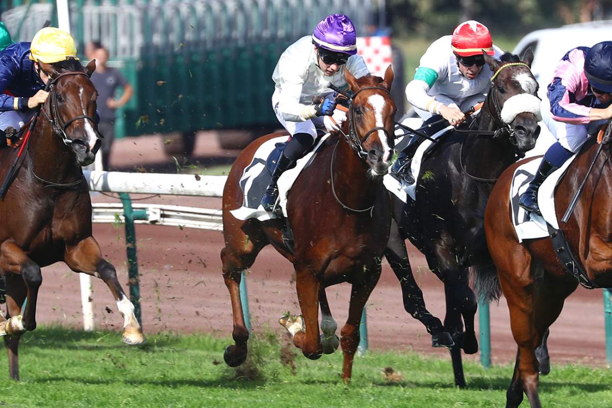 Pronostic gratuit du PRIX FRANCOIS MATHET - 15 mars 2026 par Canalturf