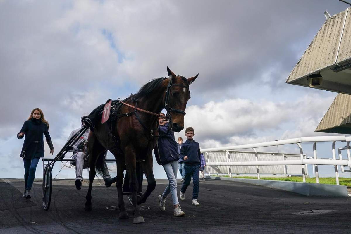 Pronostic gratuit du PRIX MENKALINAN - 5 déc. 2025 par Canalturf