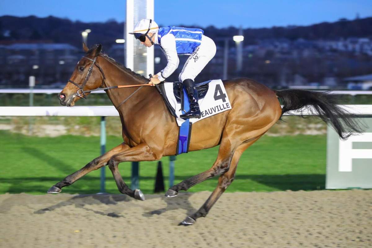Pronostic Quinté PMU du PRIX DU CHATEAU DE BAYEUX du 25 nov. 2025