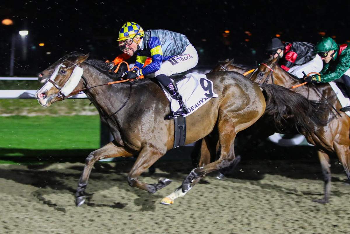 Pronostic gratuit du PRIX CERES - 22 nov. 2025 par Canalturf