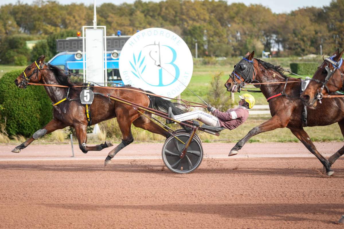 Résultat et rapports Quinté+ Pmu Prix Jonny Ruffato à BORDEAUX-LE ...