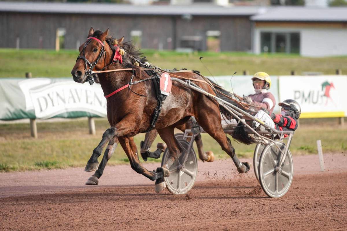 Pronostic Quinté+ Prix de Thury Harcourt, mercredi, à Caen (R-1 ...