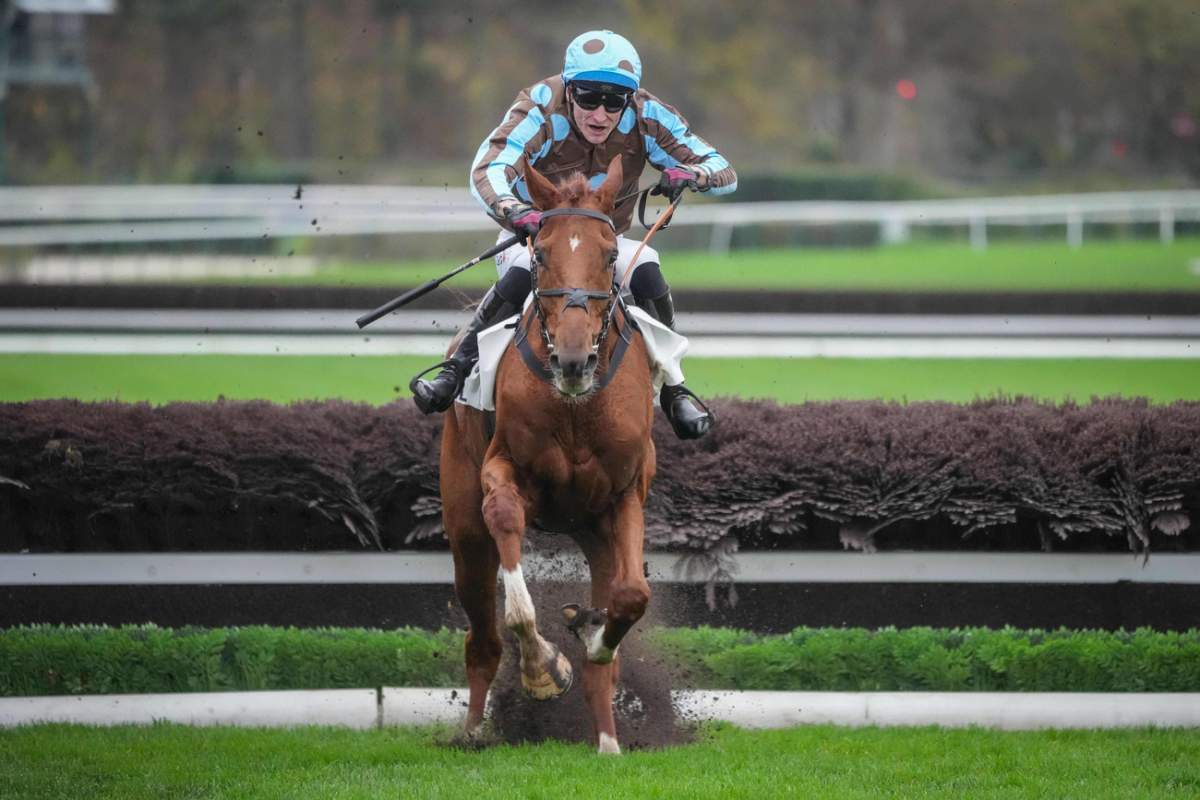 Arrivée PMU Prix Hubert d'Aillières (Listed Race), dimanche à Auteuil ...